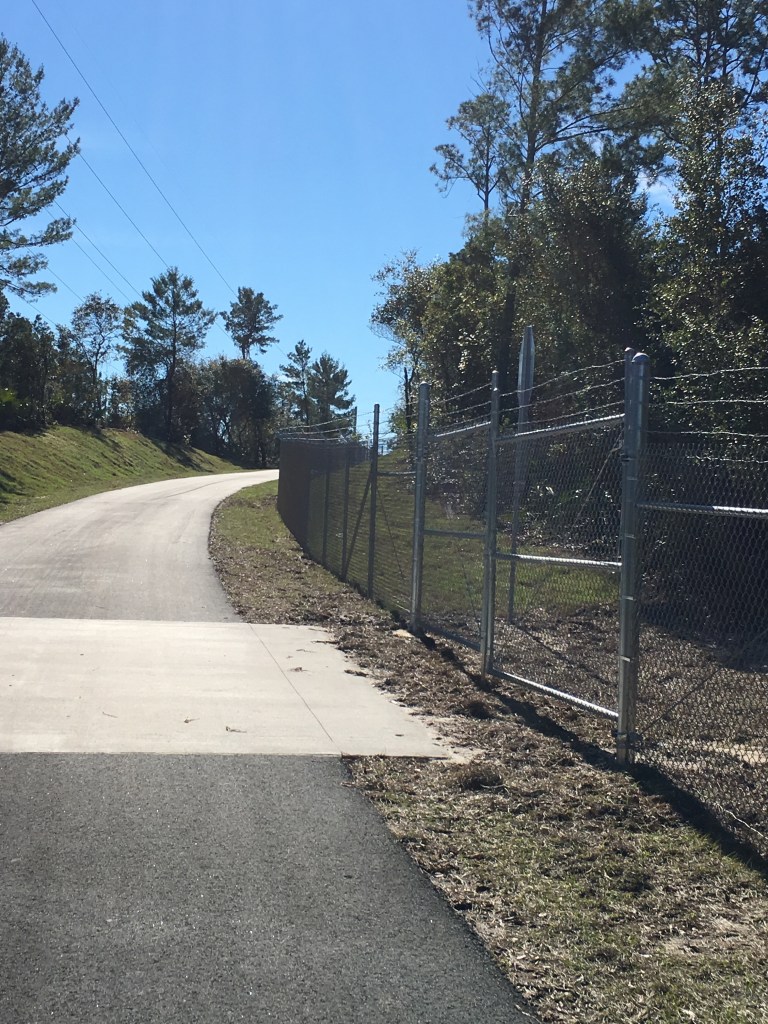 Spring-To-Spring Bike Trail. Florida’s Lake Beresford Paved Trail ...