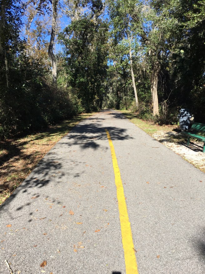 Spring-To-Spring Bike Trail. Florida’s Lake Beresford Paved Trail ...